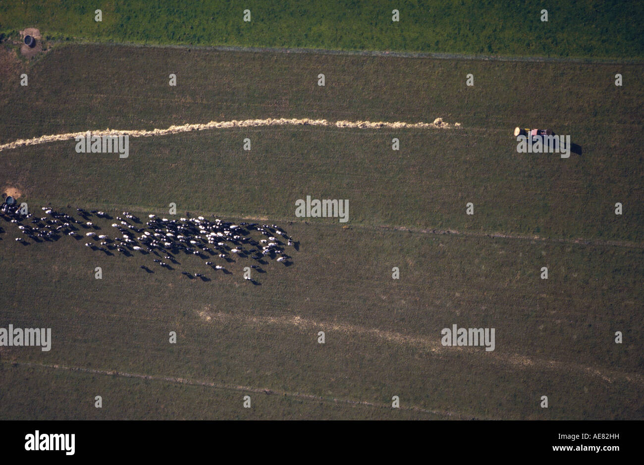 Farming, Victoria, Australia Stock Photo - Alamy