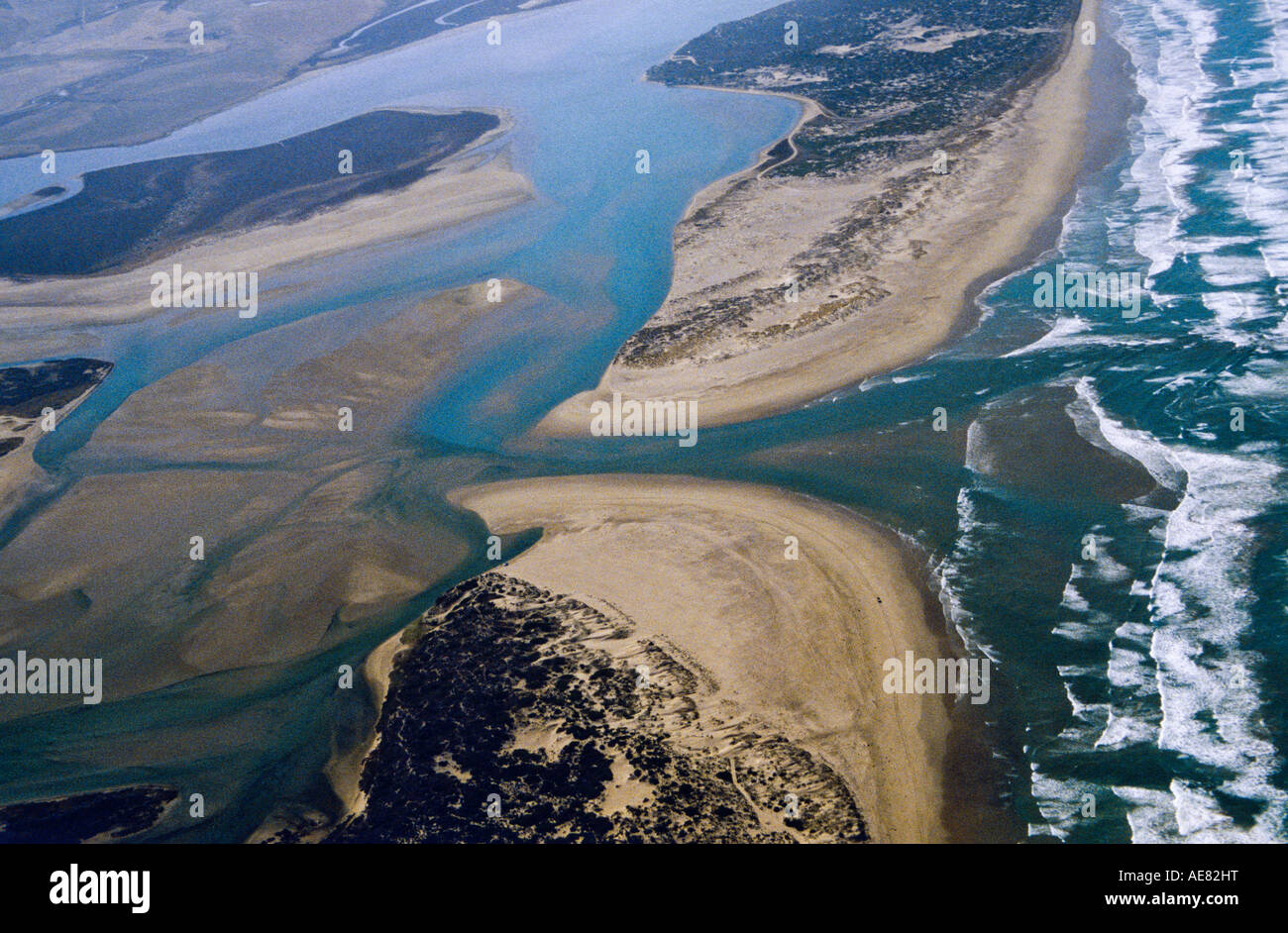 Silt and surf patterns at [mouth of “Murray River”], “Fleurieu ...