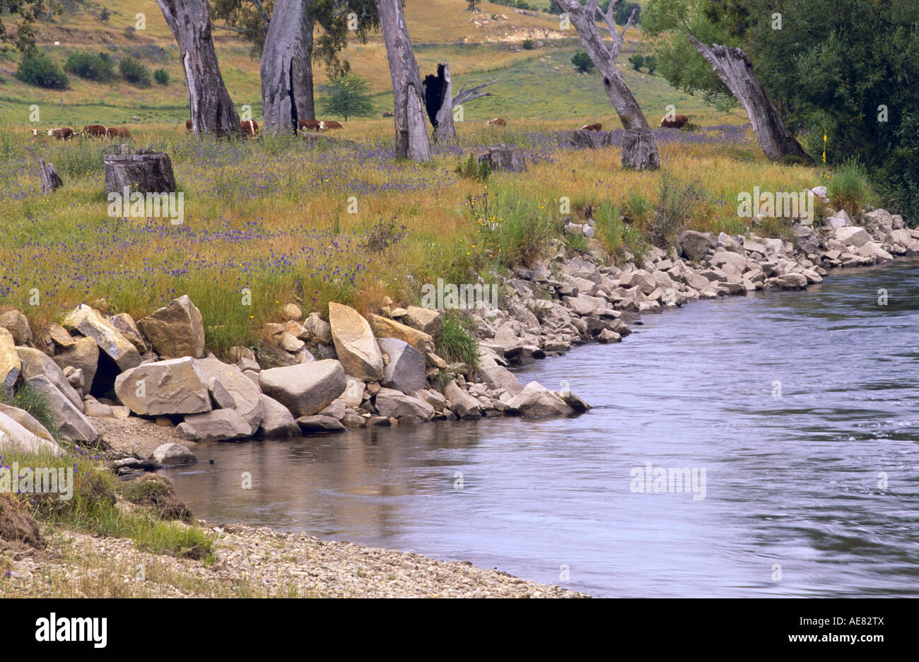Manmade riverbank fortification hi-res stock photography and images - Alamy