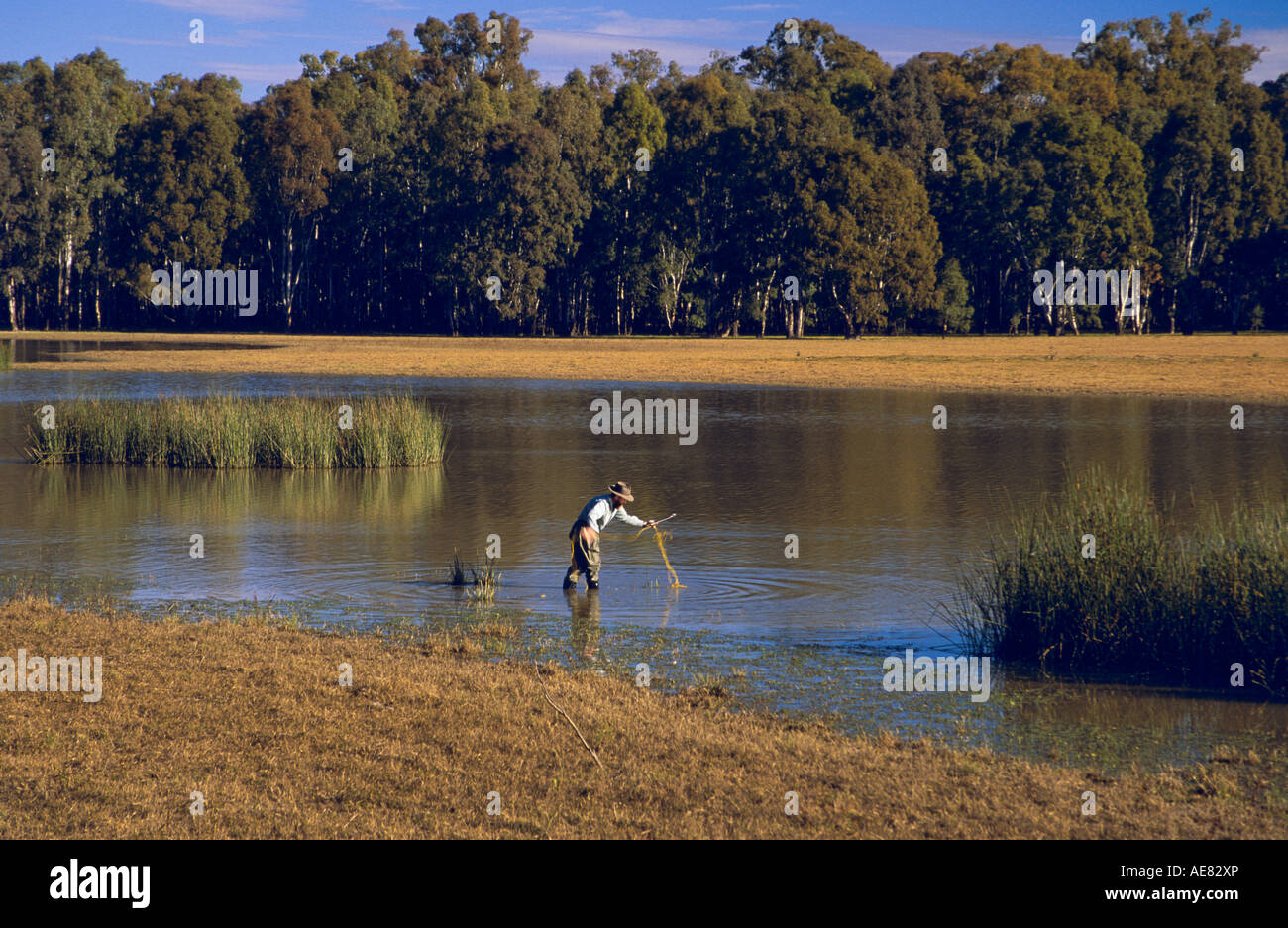 Fieldwork ecologist hi-res stock photography and images - Alamy