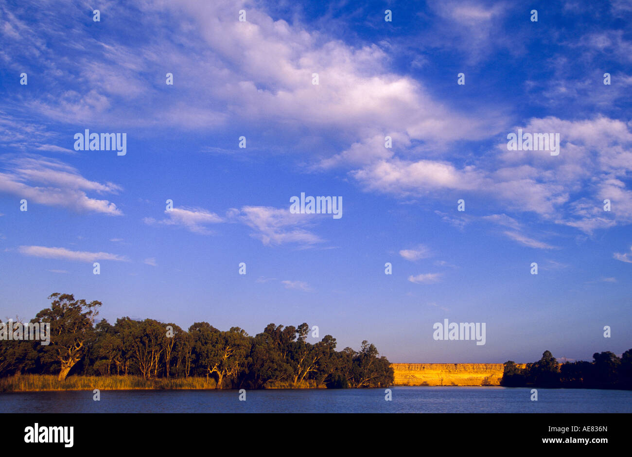 “Murray River” and sandstone cliffs “South Australia” Stock Photo - Alamy