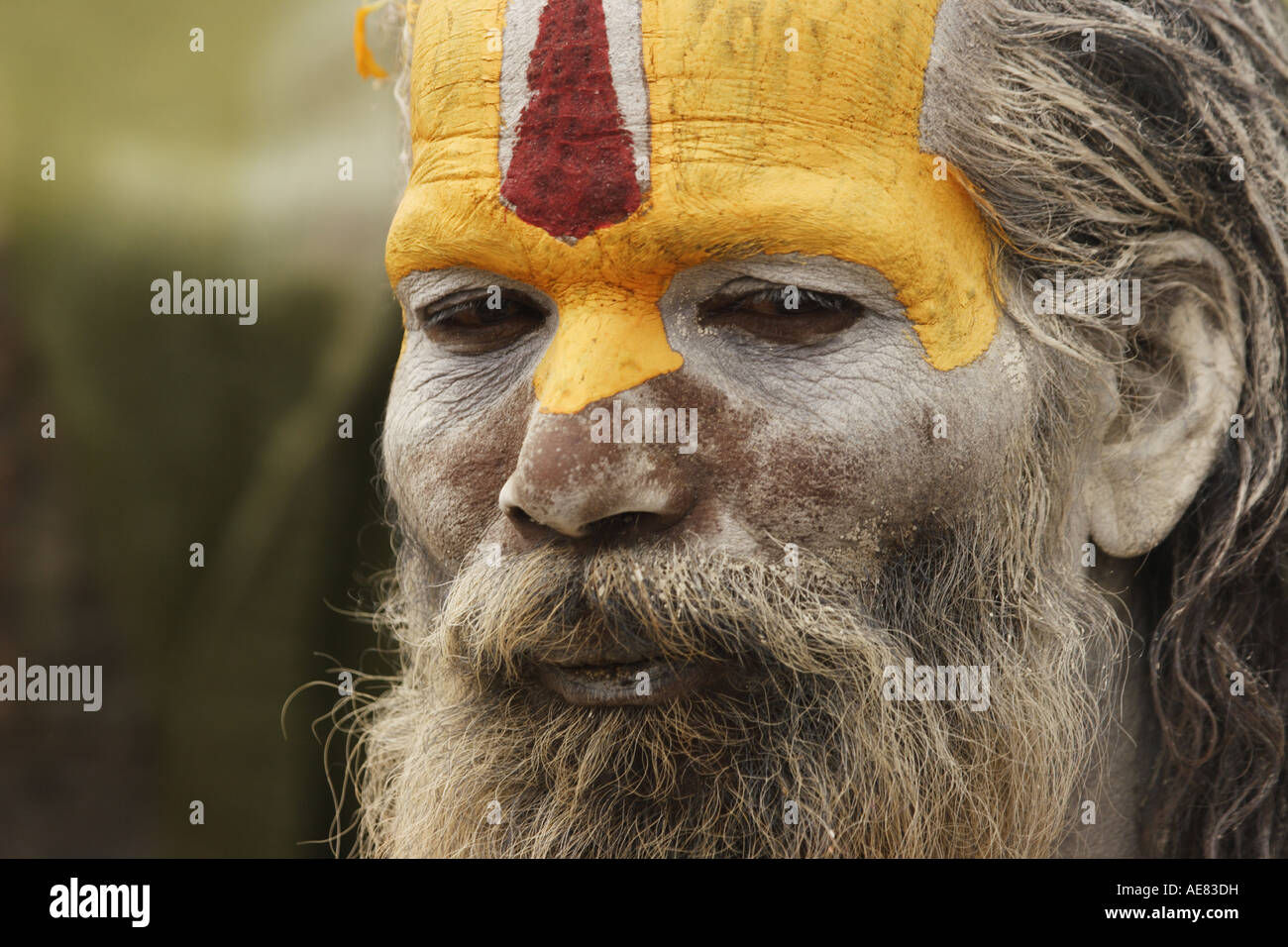 Naga baba a holy man at the Mahashivaratri festival Pashupatinath Nepal ...