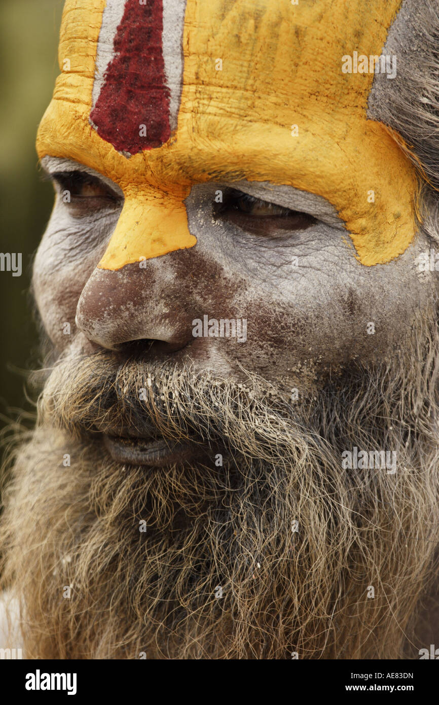 Hinduism brahmin painting hi-res stock photography and images - Alamy