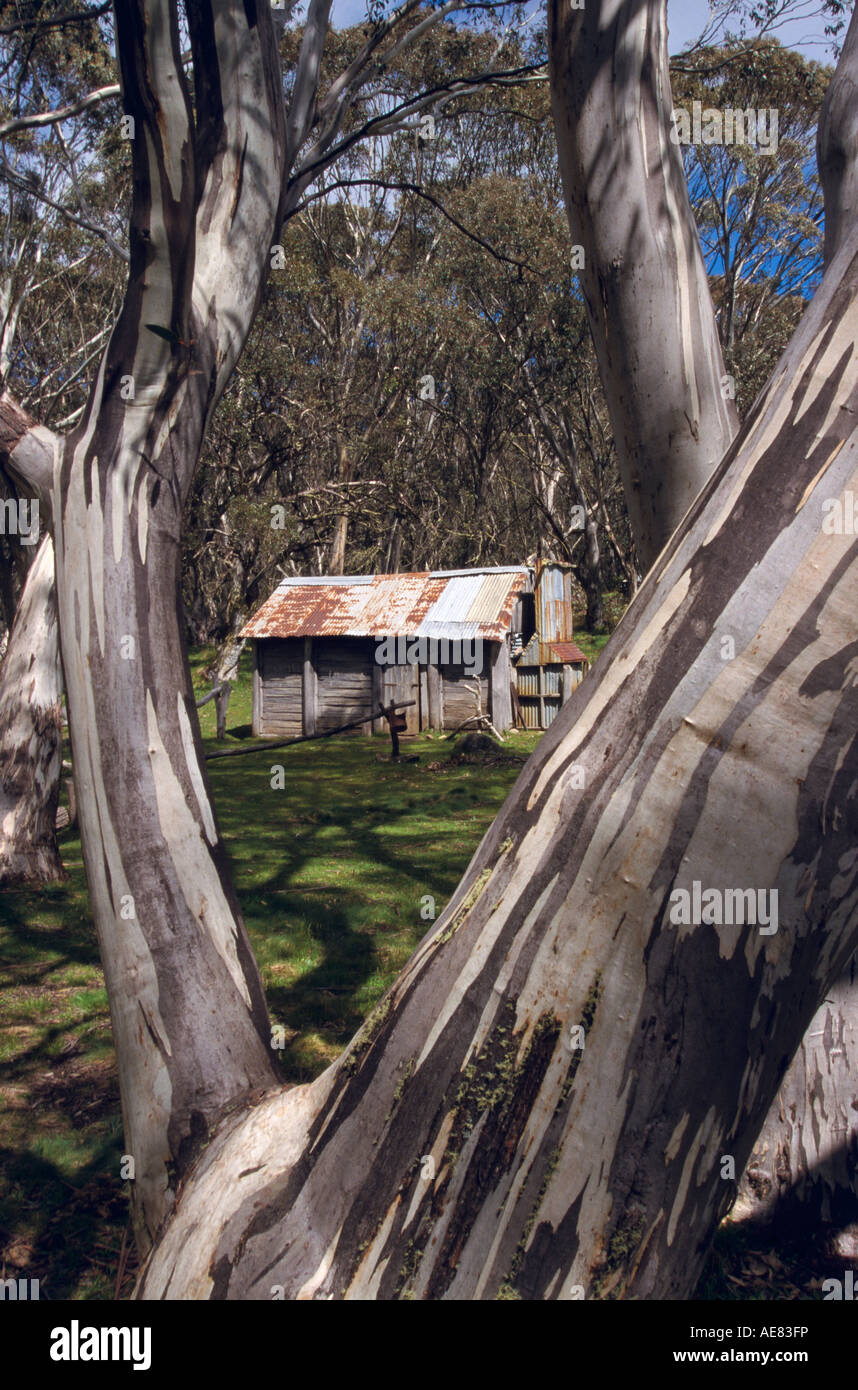 Early Settlers Hut High Resolution Stock Photography and Images - Alamy