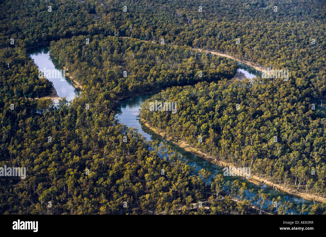 Murray River, Australia Stock Photo - Alamy