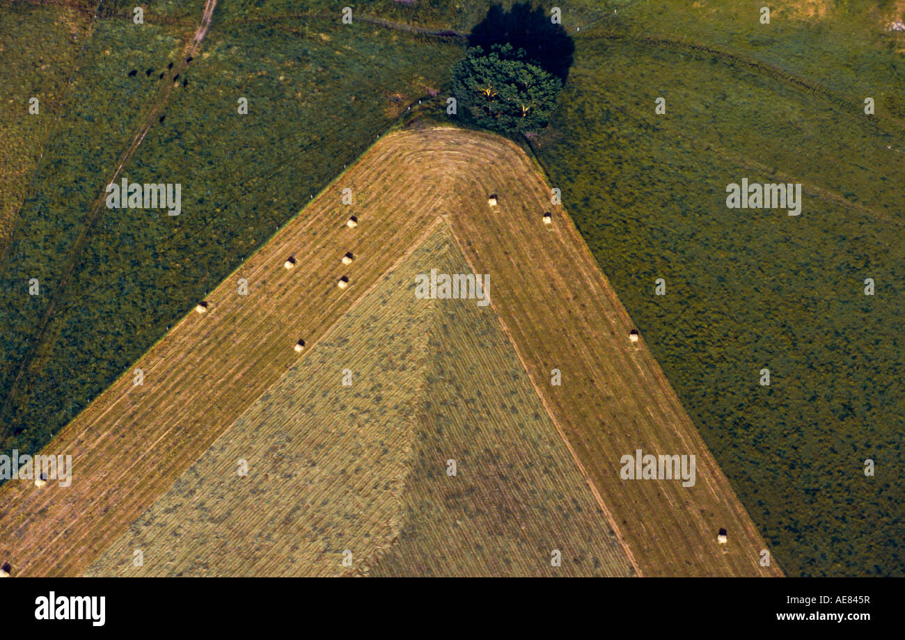 Hay paddock, Australia Stock Photo - Alamy