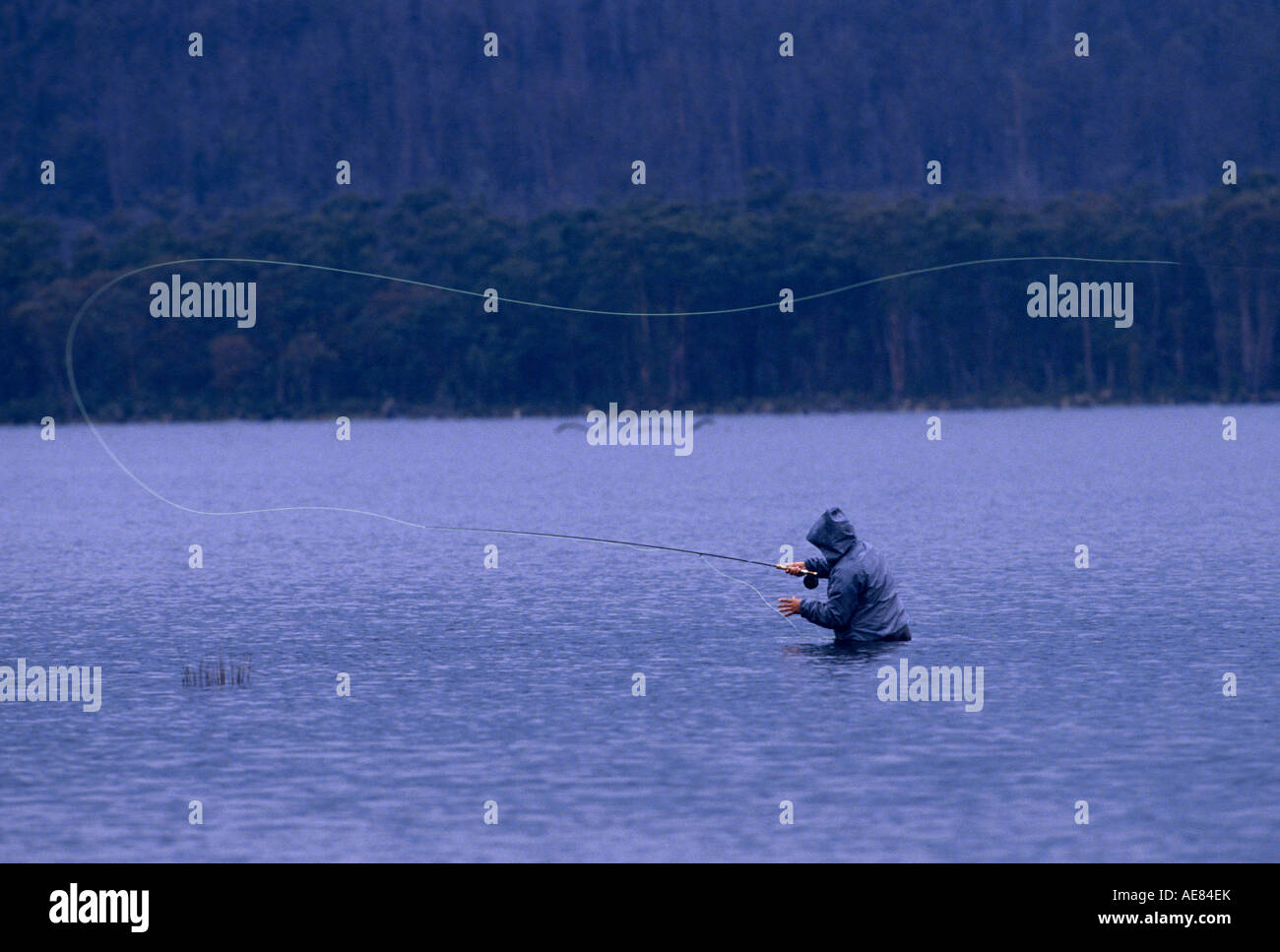 Fly fishing, Tasmania, Australia, horizontal Stock Photo - Alamy
