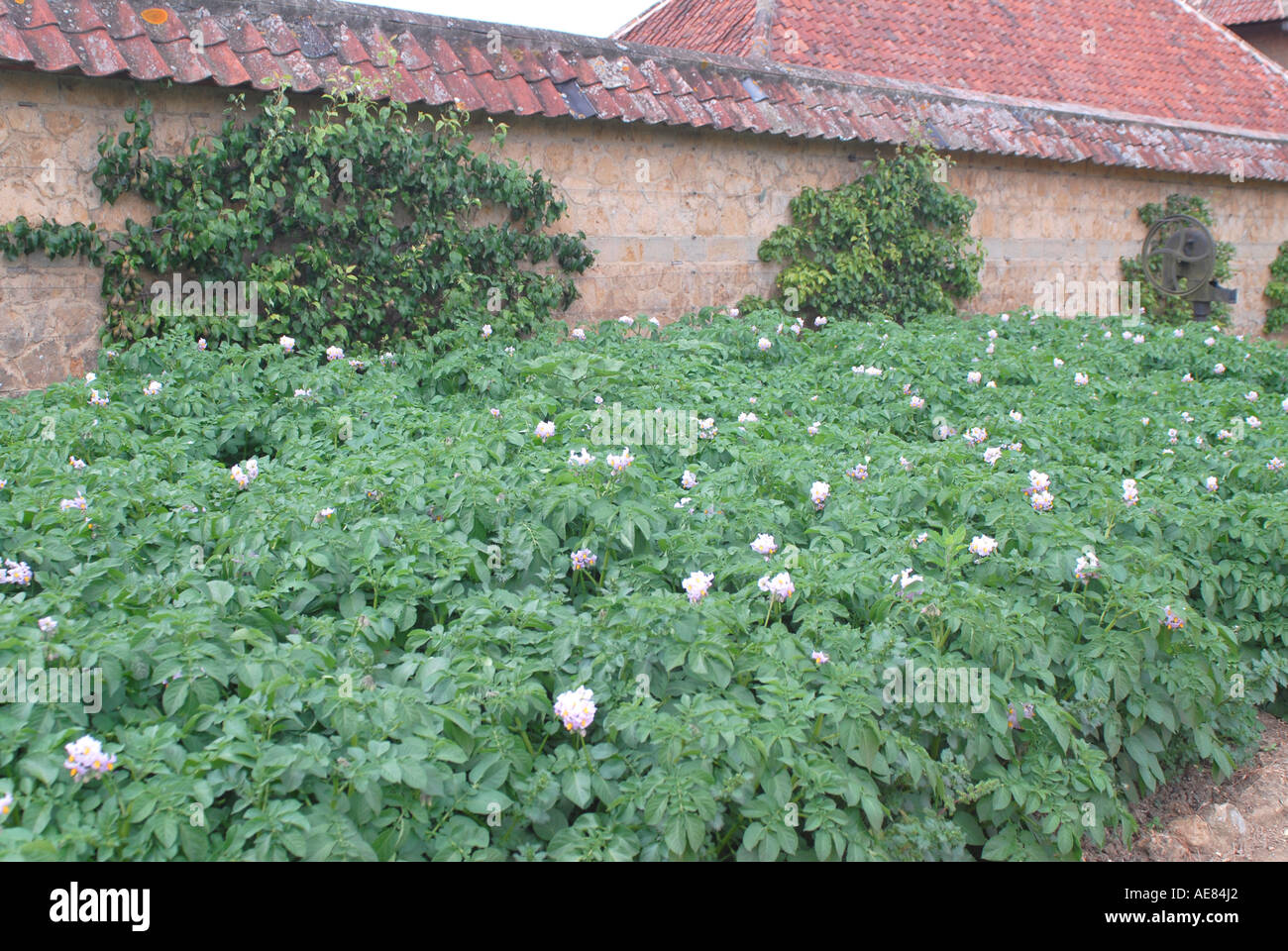 Patch jacket hi-res stock photography and images - Alamy