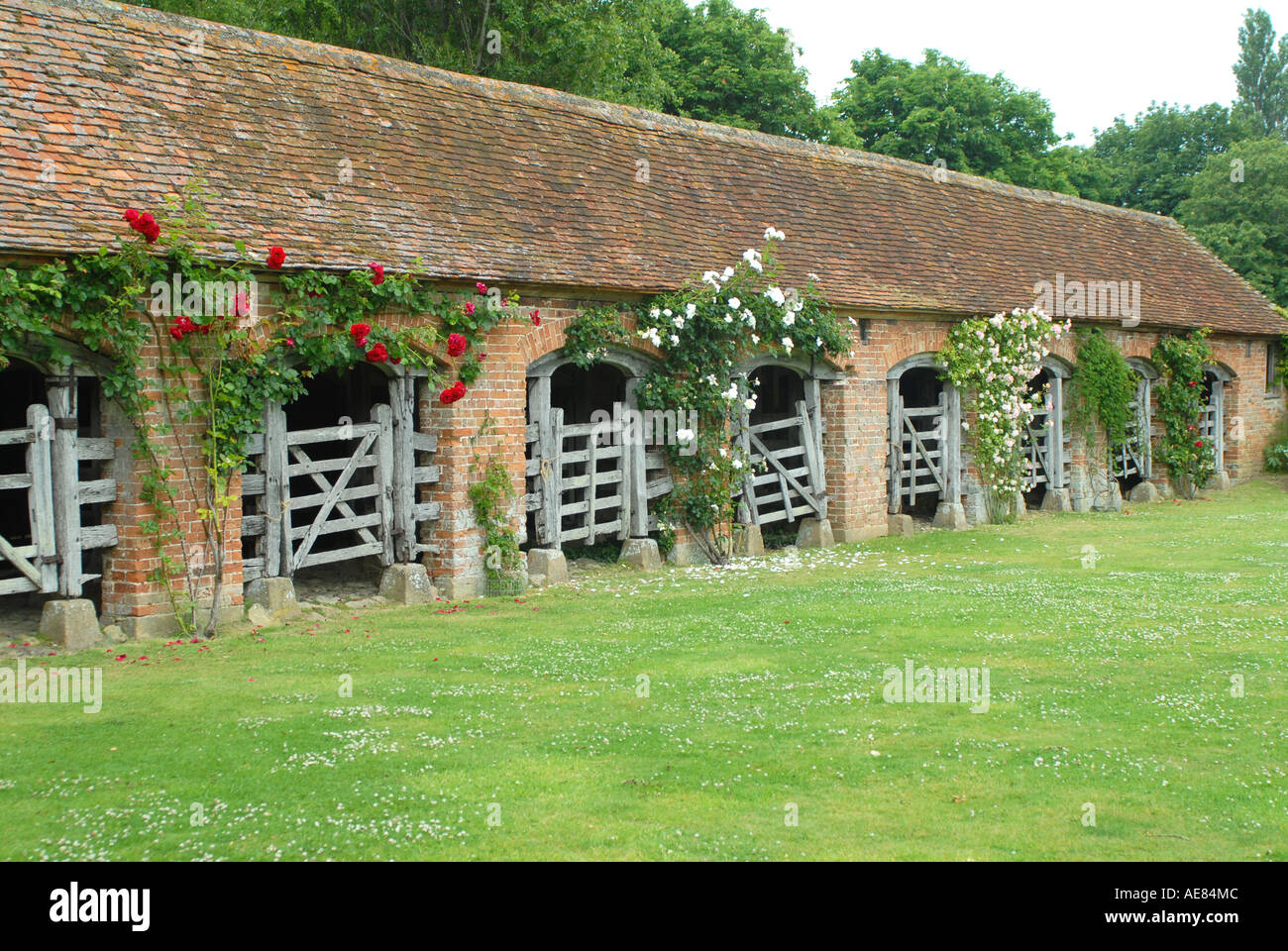 Old milking shed hi-res stock photography and images - Alamy