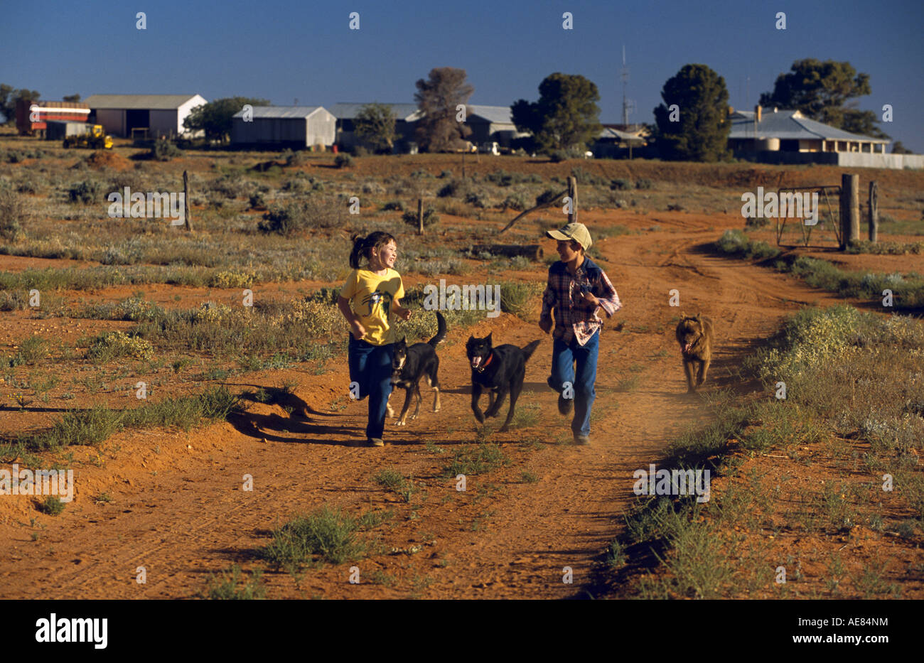 Outback farm life, australia hi-res stock photography and images - Alamy