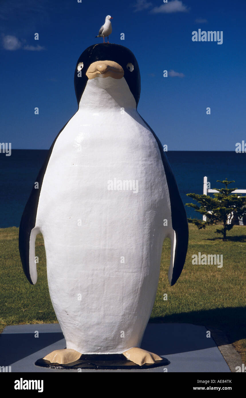Penguin tasmania hi-res stock photography and images - Alamy