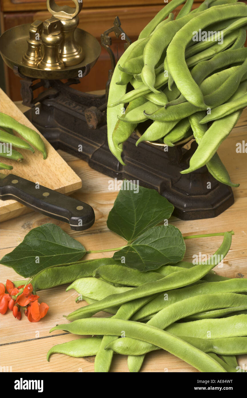Home grown runner beans in a traditional country kitchen with rustic ...