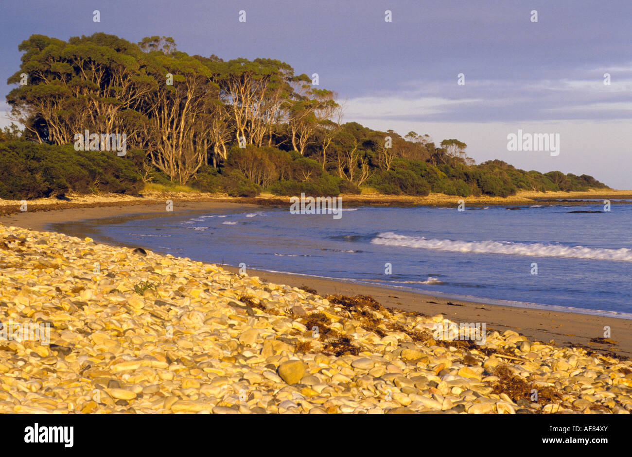 Beach, Tasmania, Australia, horizontal Stock Photo - Alamy