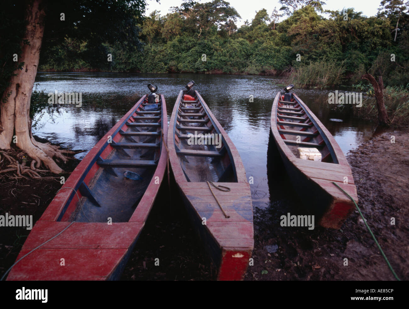 River transport - Amazon basin, Beni BOLIVIA Stock Photo - Alamy