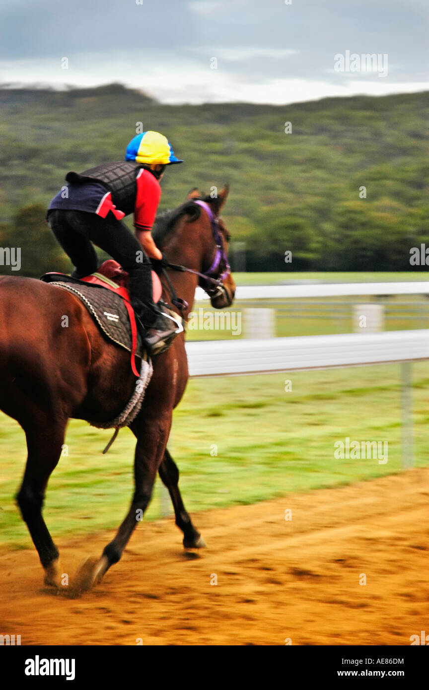 fast riding horse and jockey in motion blur Stock Photo - Alamy