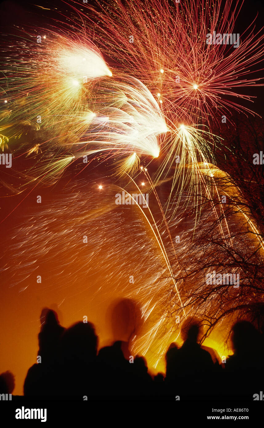 Fireworks at public display Stock Photo - Alamy