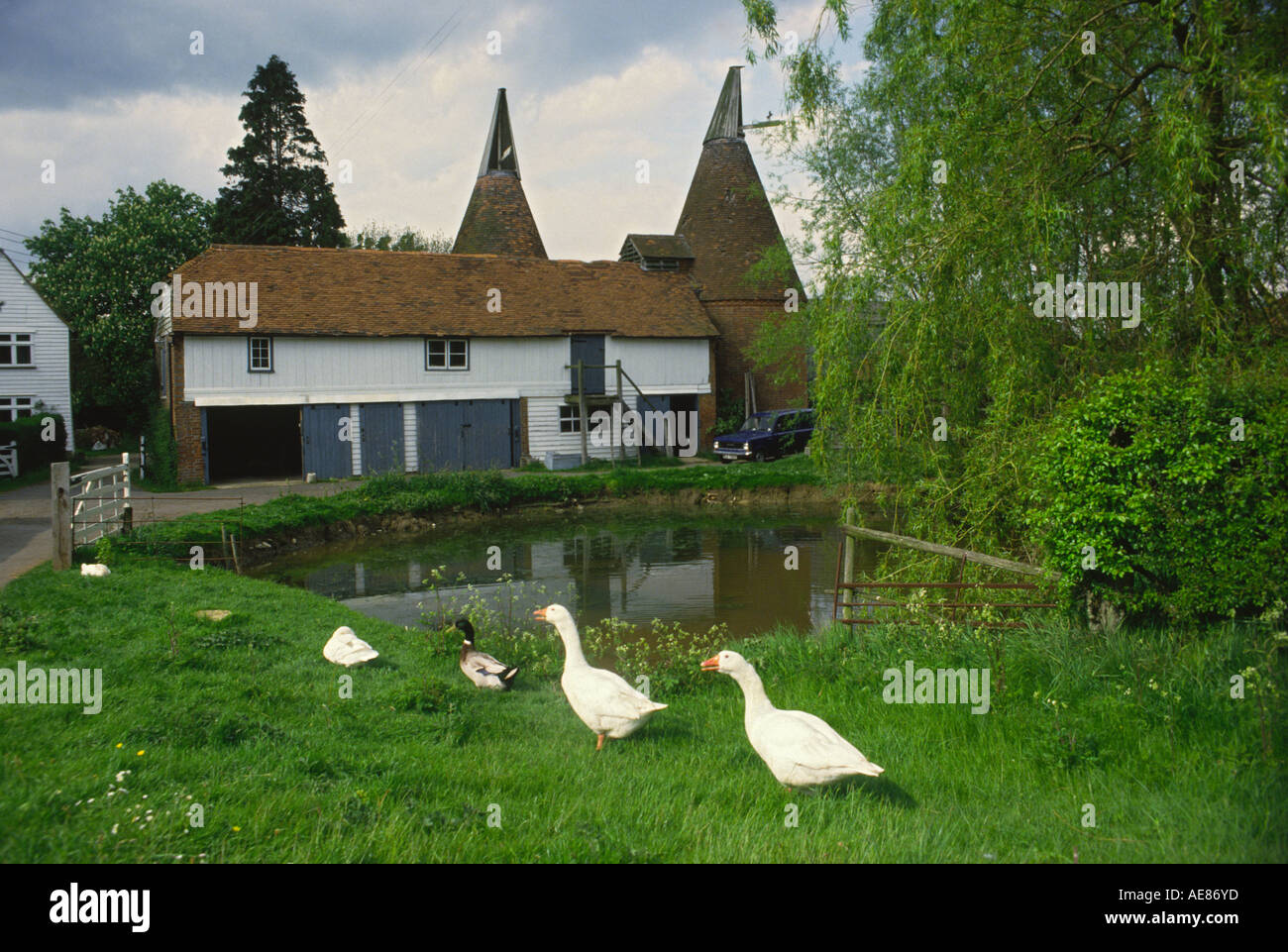 Frittenden hi-res stock photography and images - Alamy