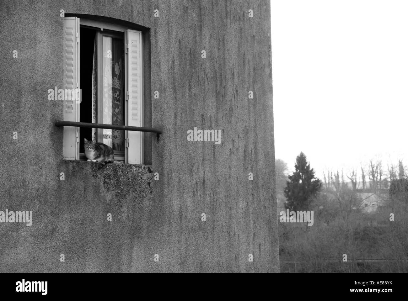 Sitting on a window Black and White Stock Photos & Images - Alamy