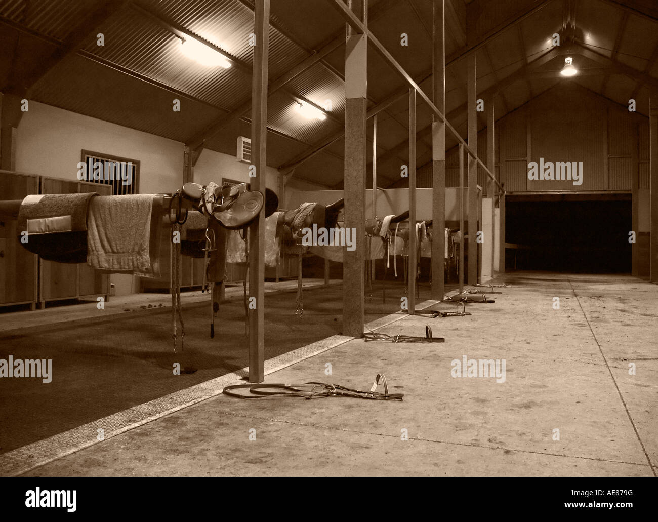 before sunrise getting ready for todays horse race training Stock Photo ...