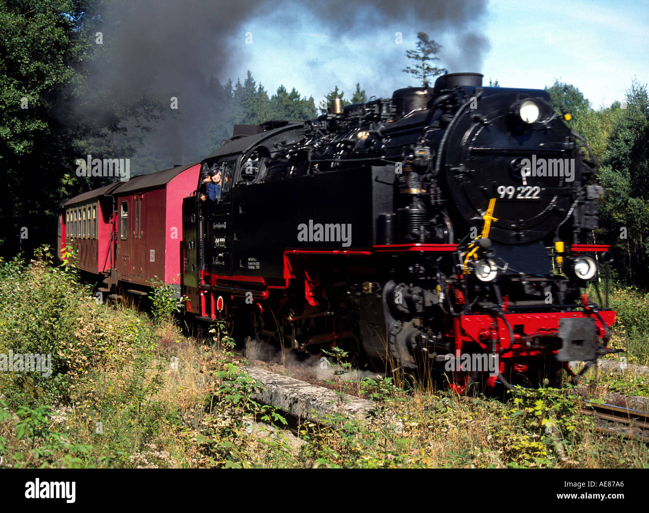 Steam train on landscape, Saxony Anhalt, Germany Stock Photo - Alamy