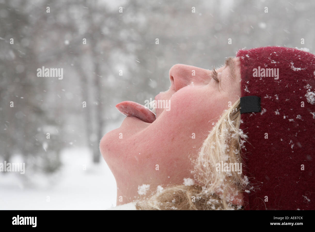 Killarney provincial park winter hi-res stock photography and images ...