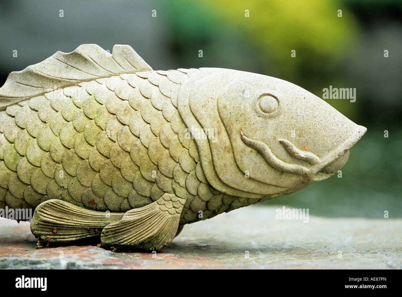 Real stone fish hi-res stock photography and images - Alamy