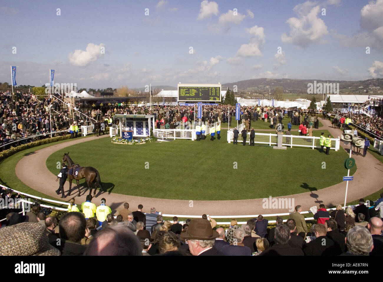 Horses are paraded in the parade ring hi-res stock photography and ...