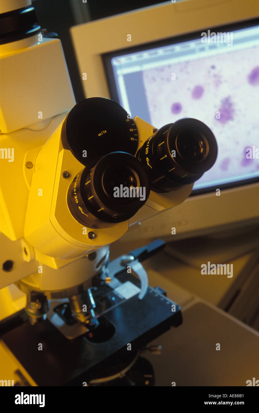 Computer cpu microscope hi-res stock photography and images - Alamy