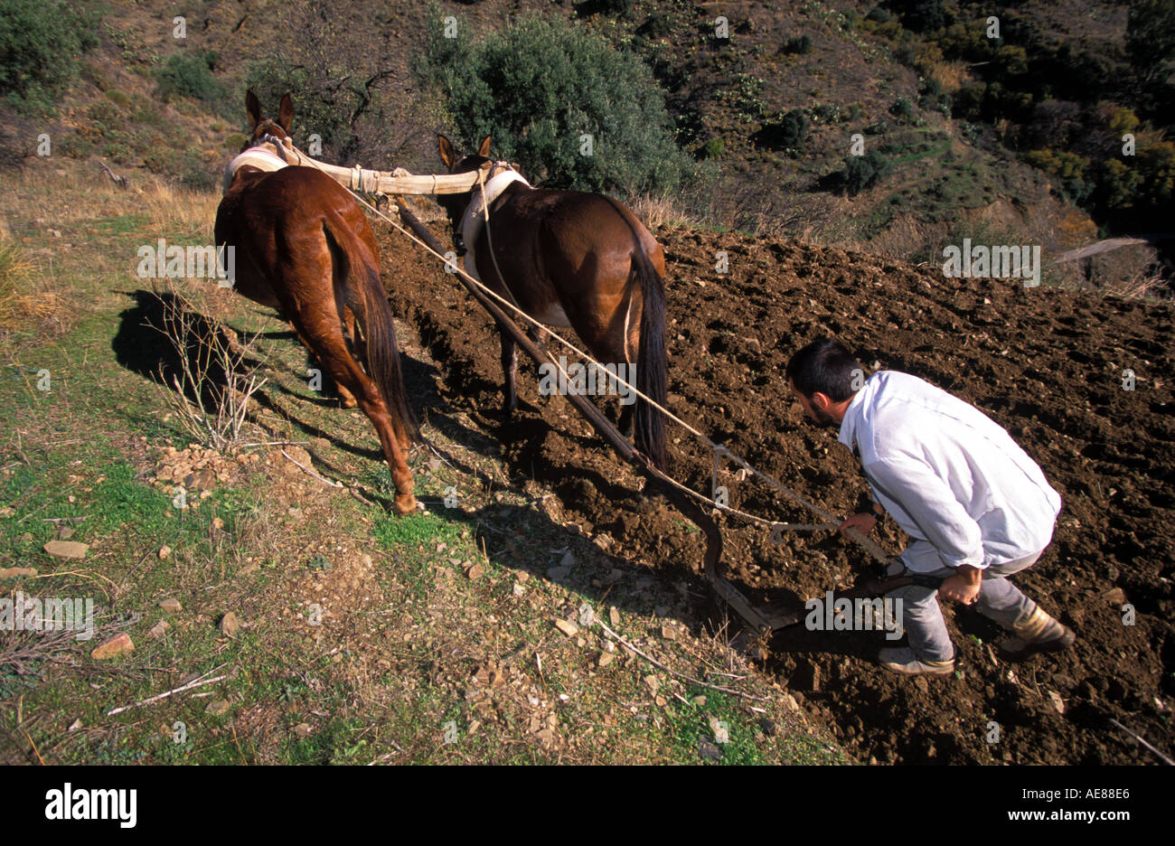 Man ploughing field hi-res stock photography and images - Alamy