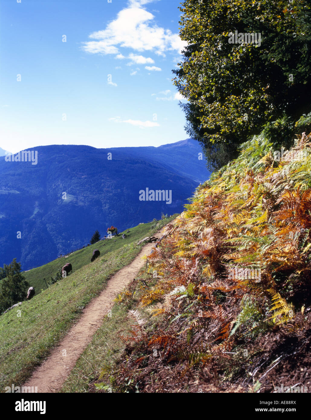 Hillwalking in italy hi-res stock photography and images - Alamy