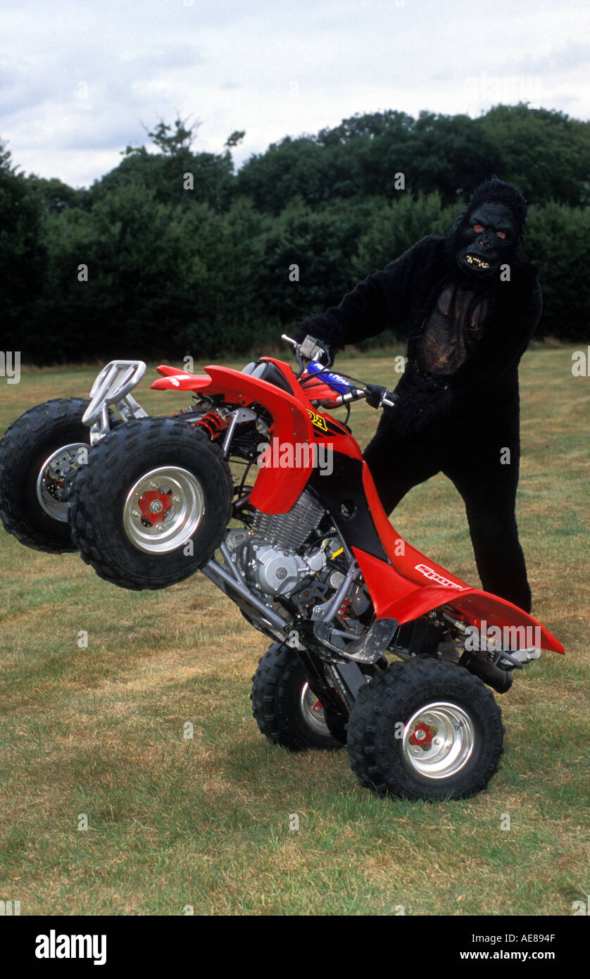 Man dressed as a gorilla riding a motorbike Stock Photo - Alamy