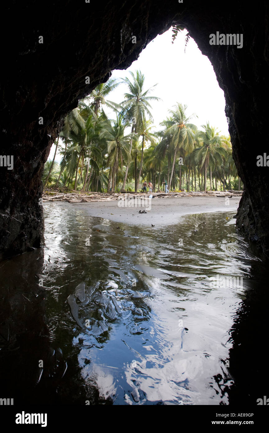 cave palm tree Stock Photo - Alamy