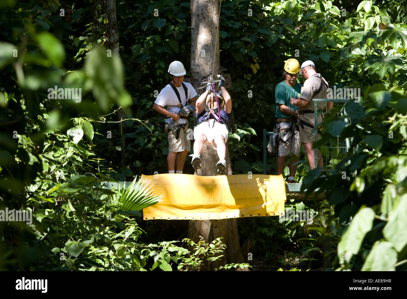 canopy tree top tour Stock Photo - Alamy