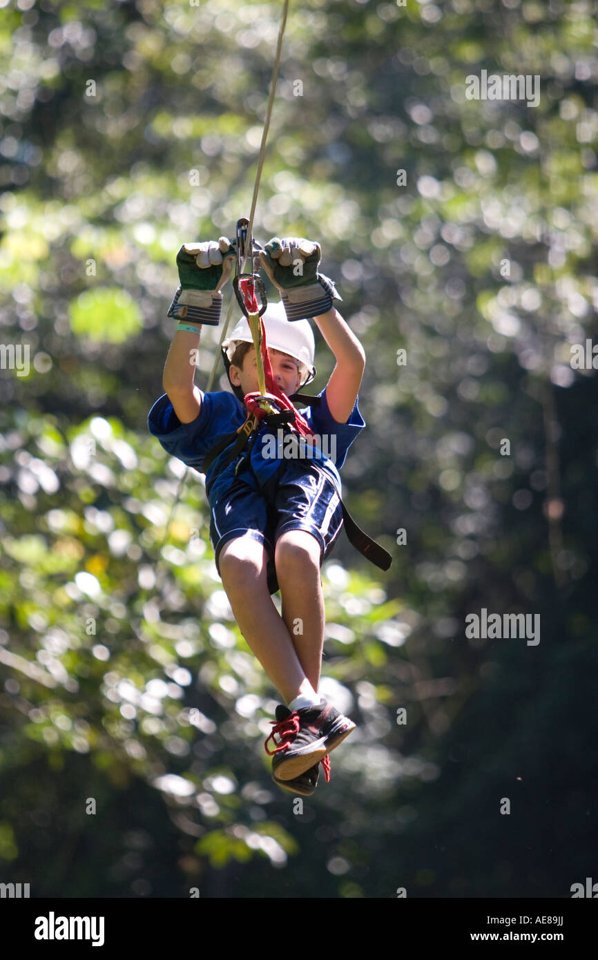 canopy tree top tour Stock Photo - Alamy