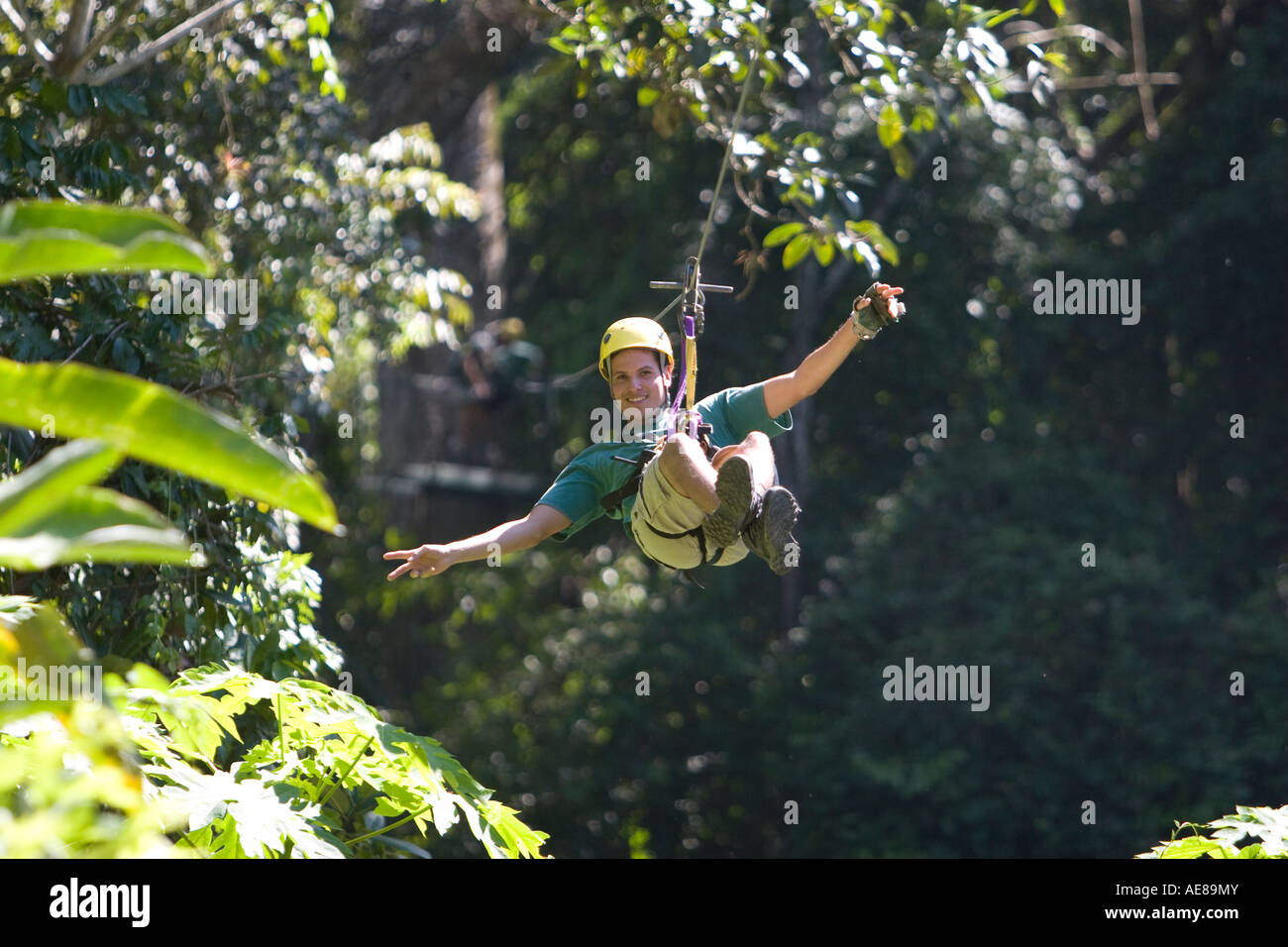 canopy tree top tour Stock Photo - Alamy