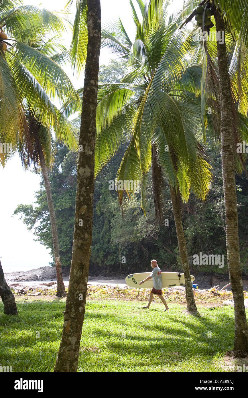 beach board palm tree surf water Stock Photo - Alamy