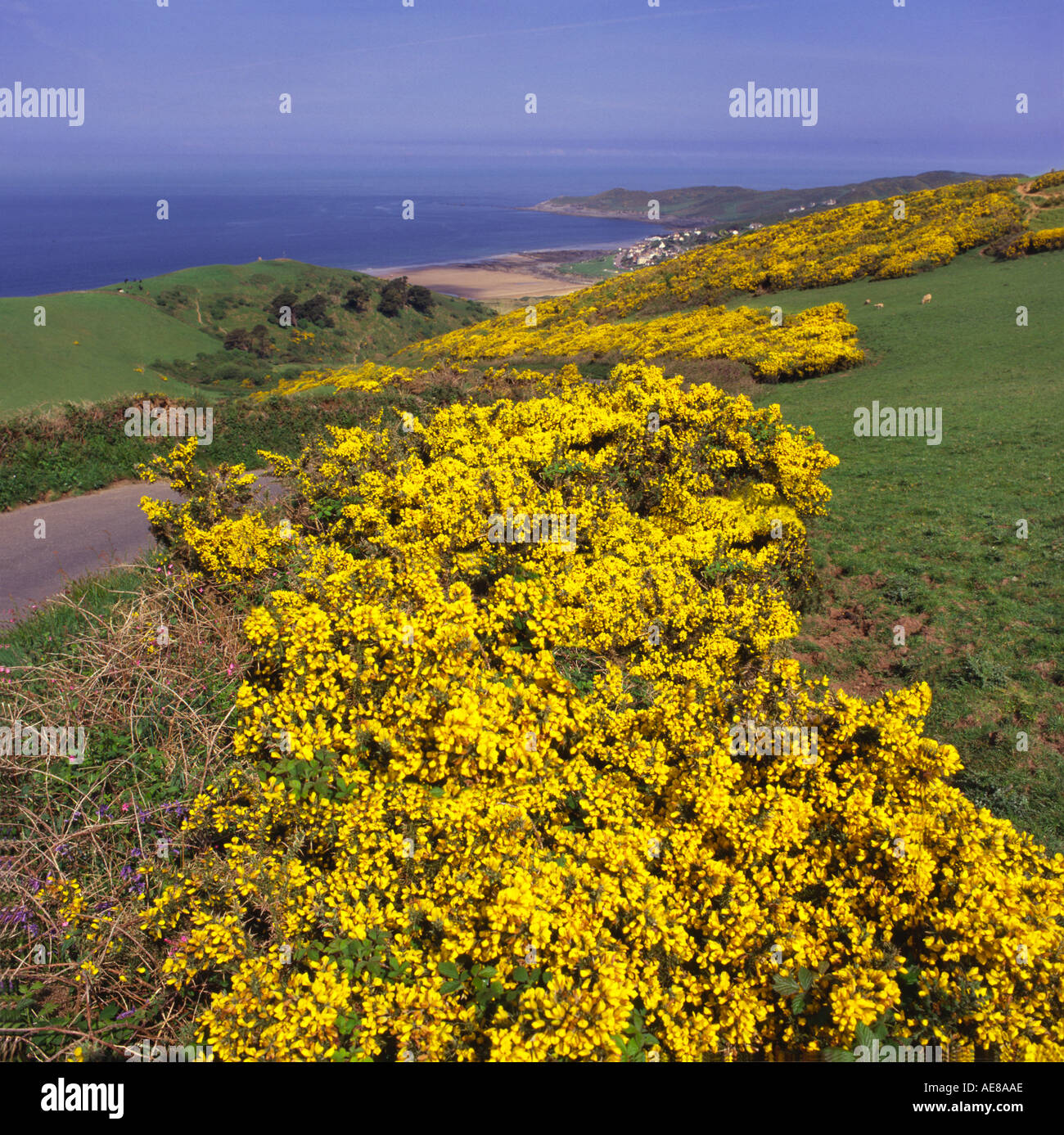 Looking down point of view hi-res stock photography and images - Alamy