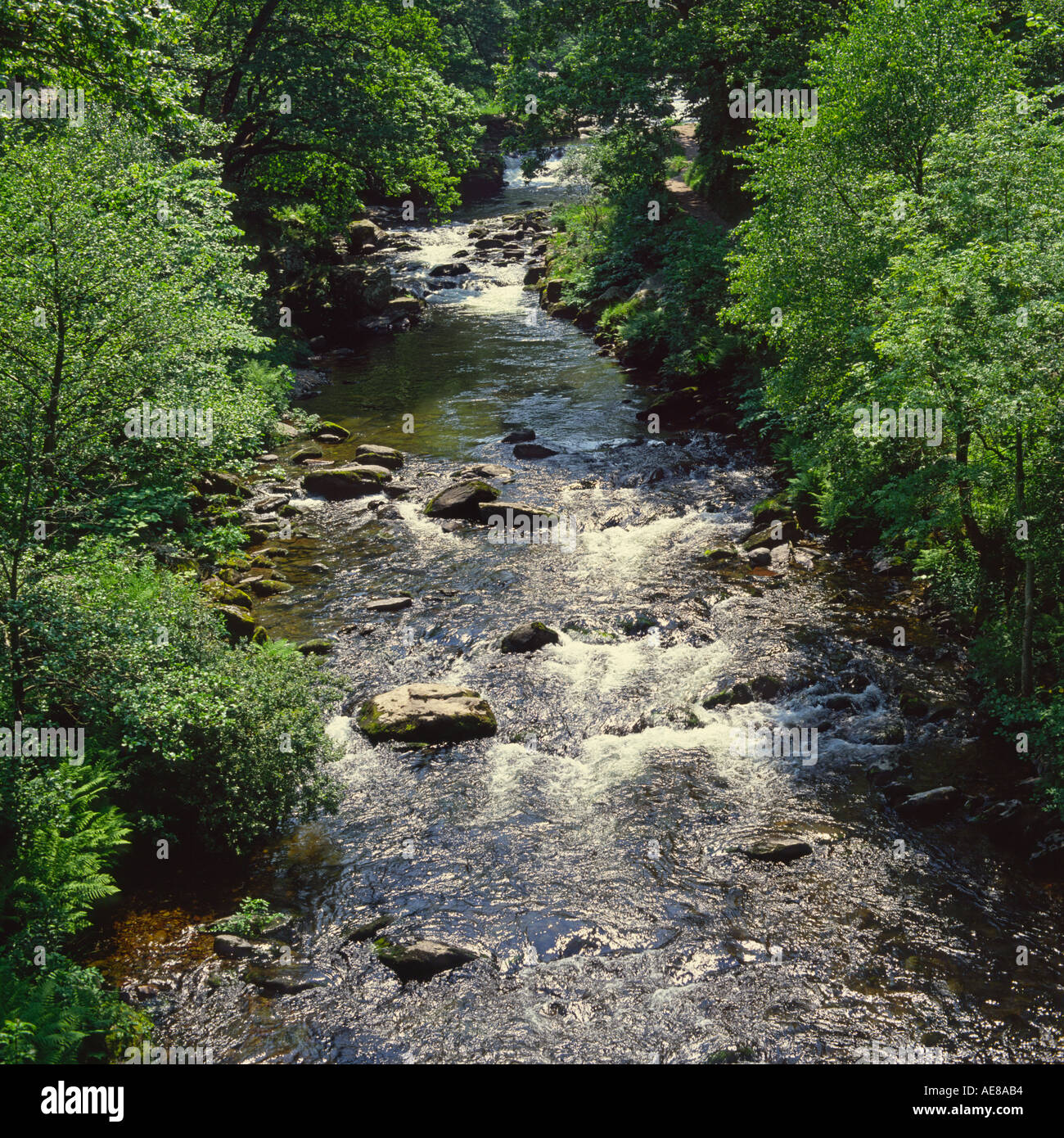 View over the East Lyn River a typical running stream dotted with rocks ...
