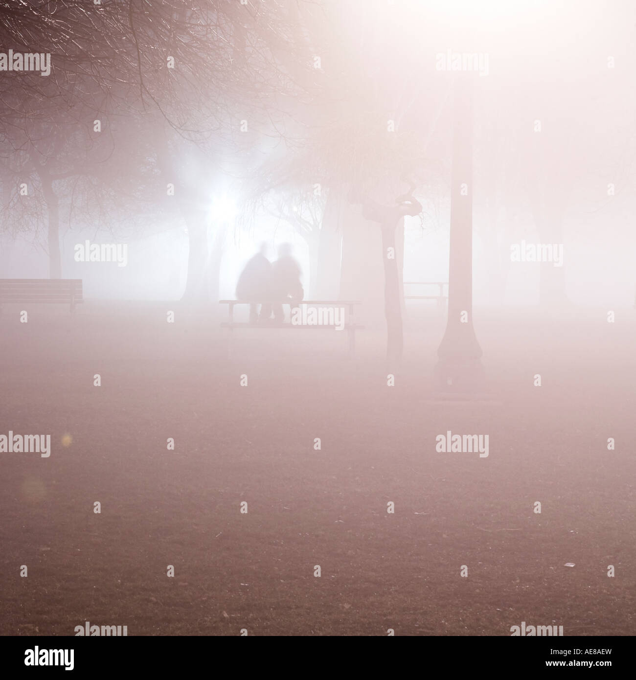 Couple in park at night Stock Photo - Alamy