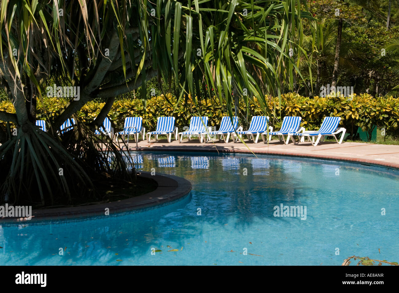 tropical swimming pool Stock Photo - Alamy
