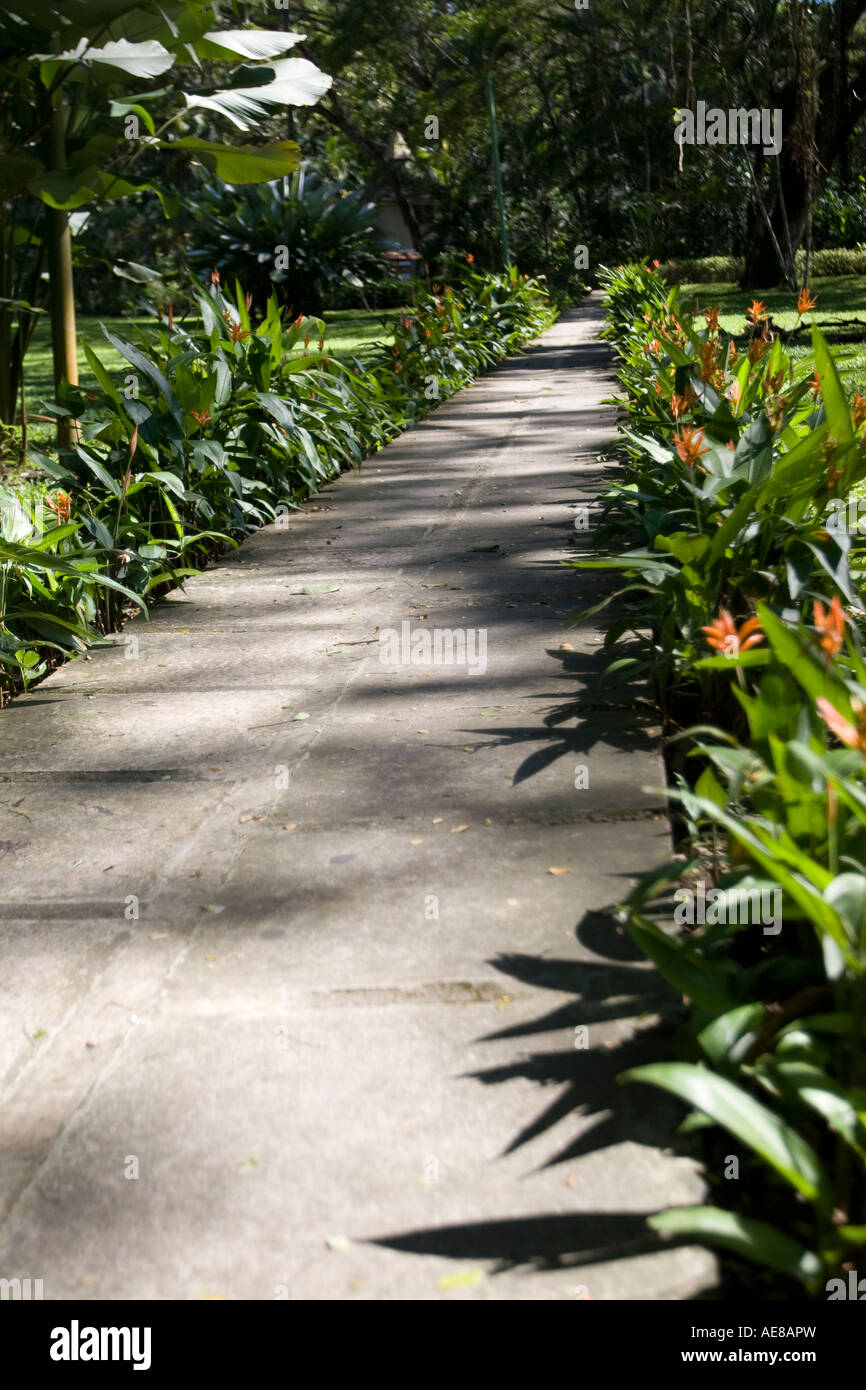 path tropical walk way Stock Photo - Alamy