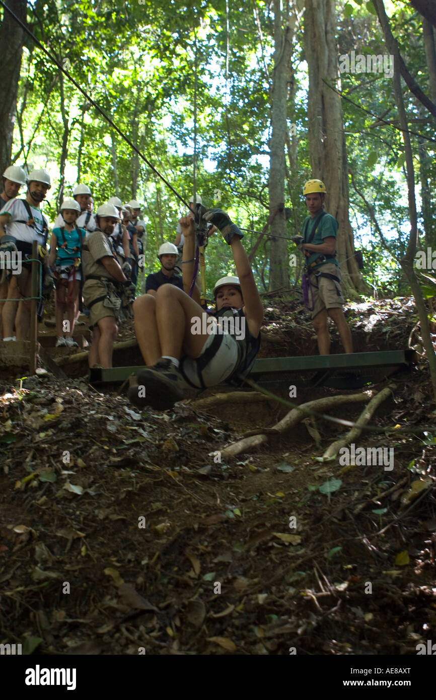 canopy forest zip line tour Stock Photo - Alamy