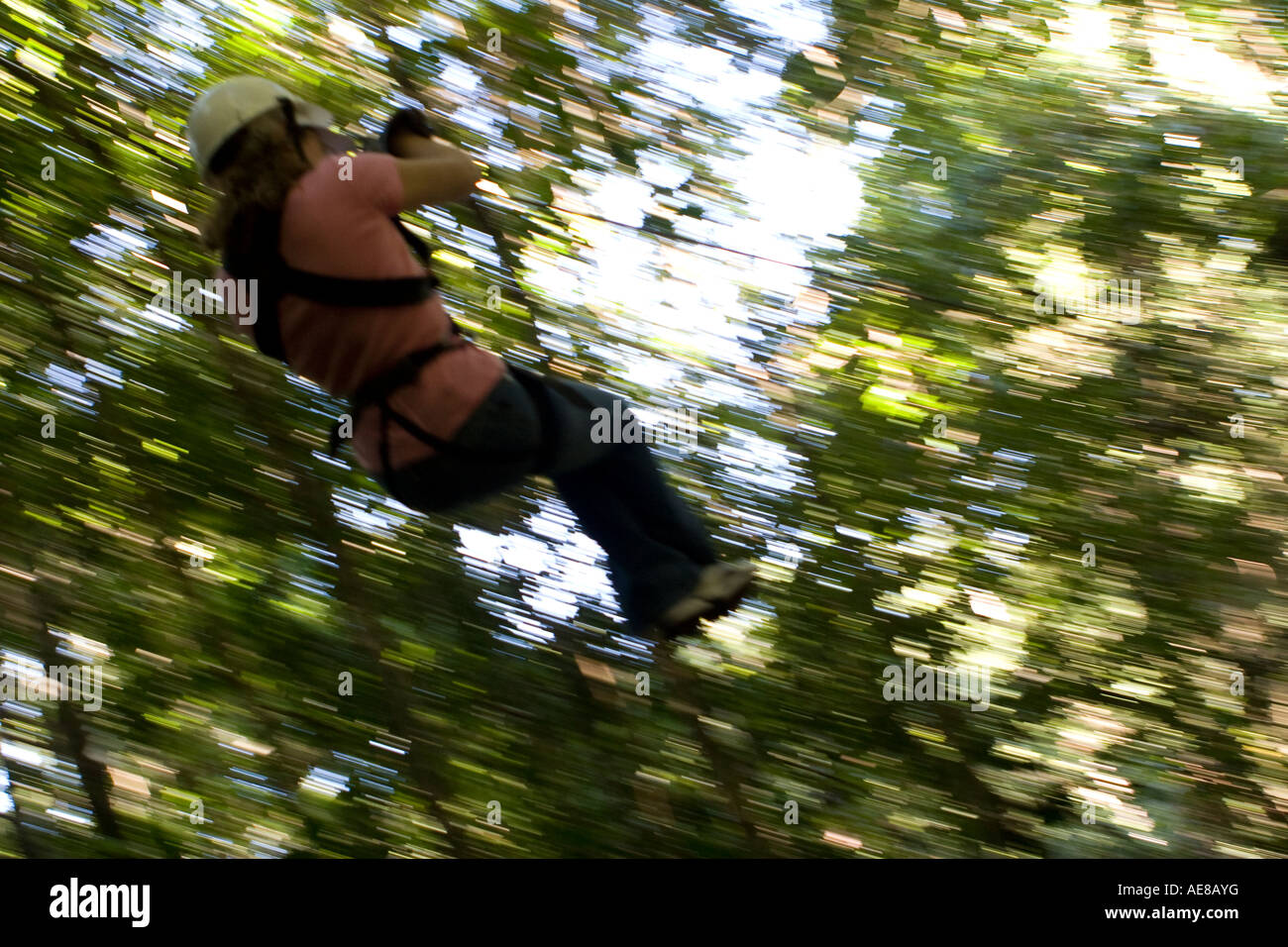 canopy forest zip line tour Stock Photo - Alamy