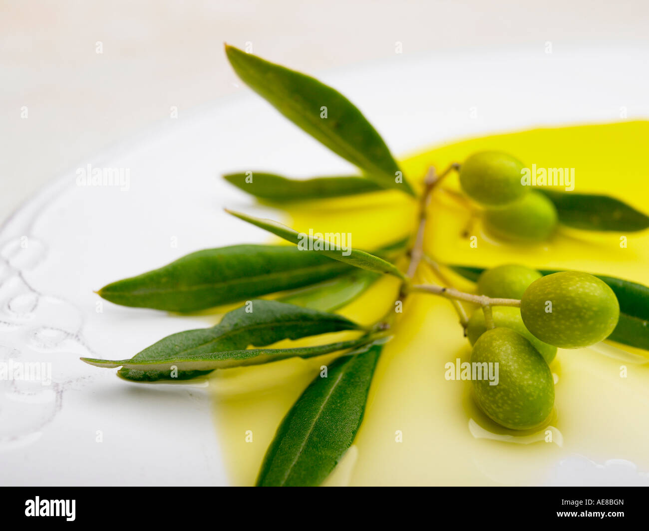 Pressed olive leaves hi-res stock photography and images - Alamy