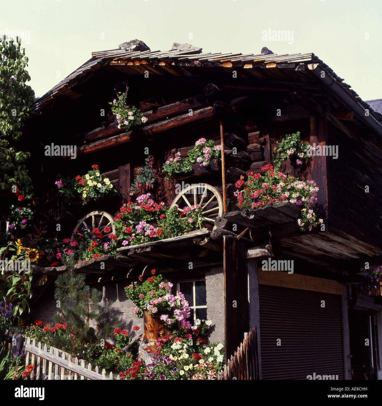 Switzerland bernese oberland murren chalet hi-res stock photography and images - Alamy