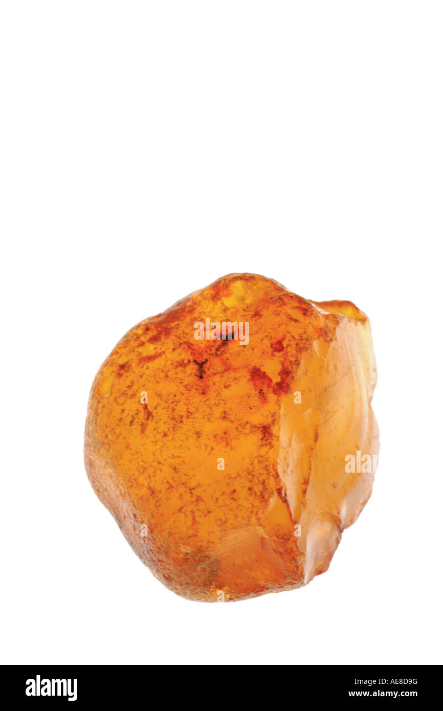Piece of Amber found on a beach in North-East Norfolk, UK Stock Photo ...