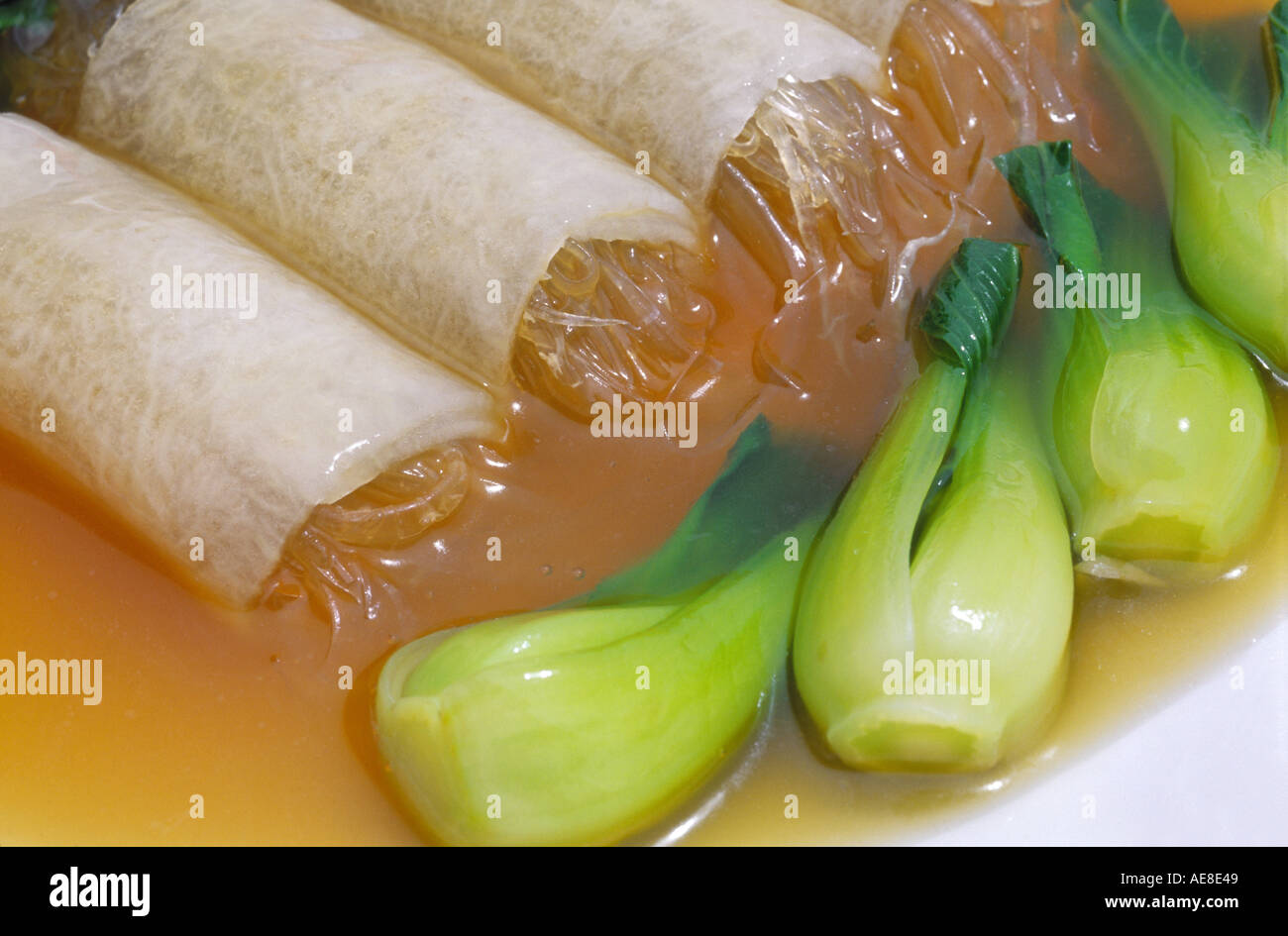 Chinese high fin shark hi-res stock photography and images - Alamy