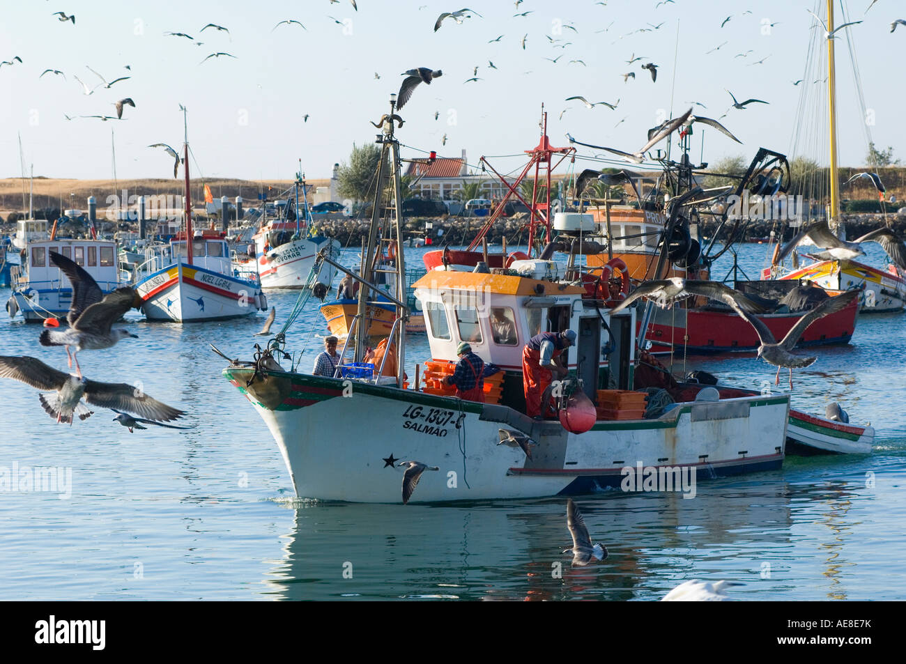 Fishing boats Lagos Algarve Portugal Stock Photo - Alamy