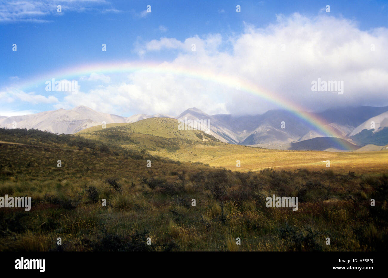 Mackenzie region of new zealand hi-res stock photography and images - Alamy