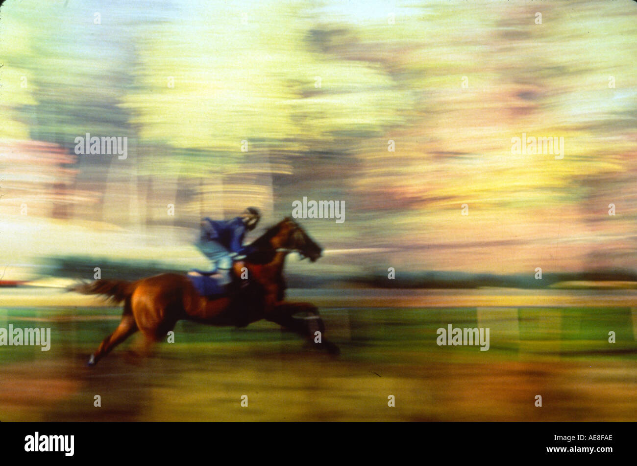Galloping race horse hi-res stock photography and images - Alamy